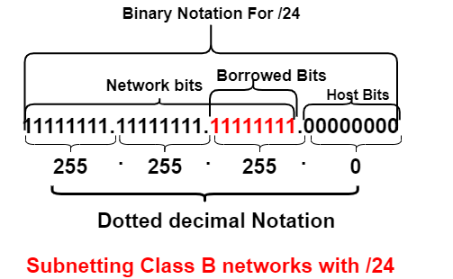 Everything About /24 Subnet Mask - Netizzan