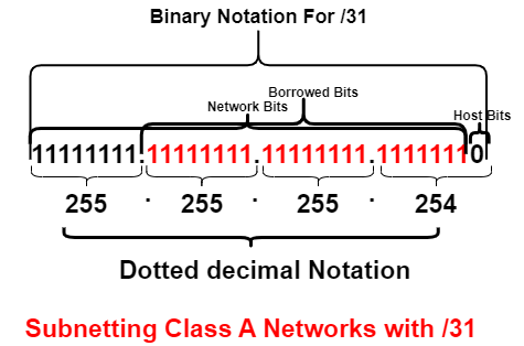 /31 Subnet Mask - Netizzan